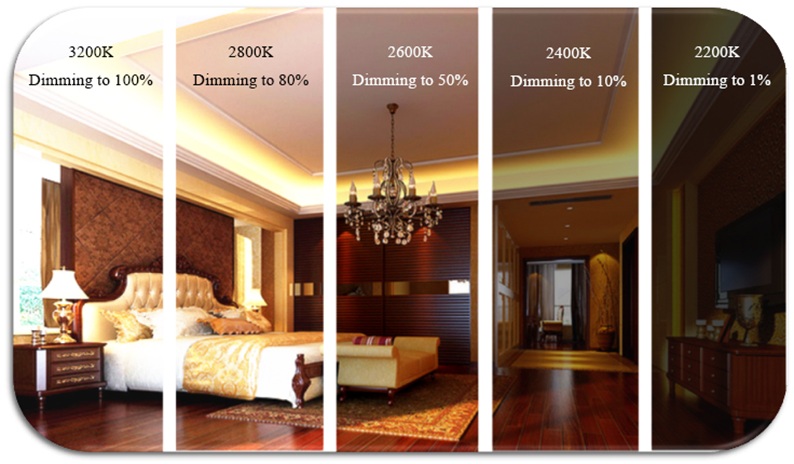 20W 0-10V Dual Series, 0-10V Dimming Drivers - MOONS'